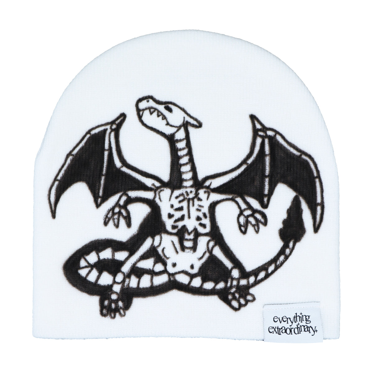 “SKELETON CHARIZARD" BEANIE – Everything Extraordinary